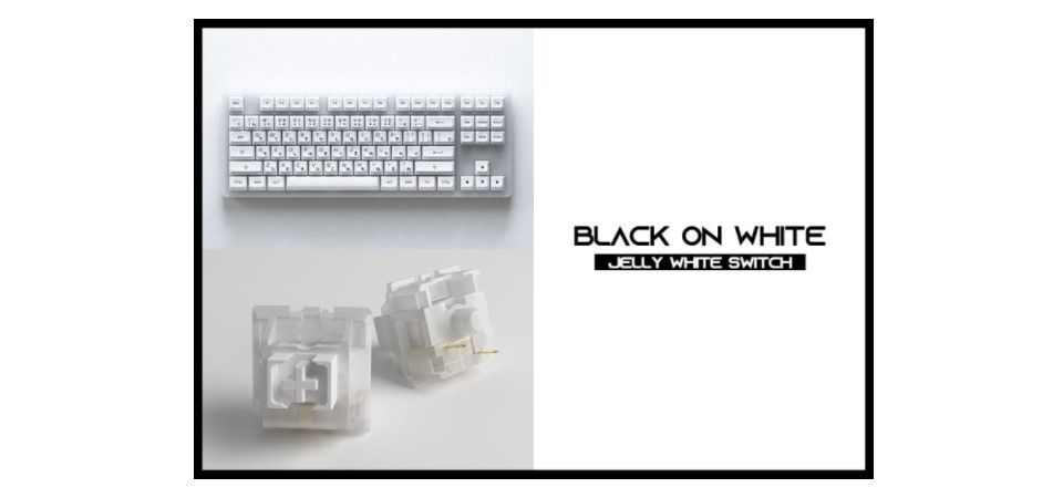Buy Akko ACR 87 Black on White RGB Hot-Swap CS Jelly White ...