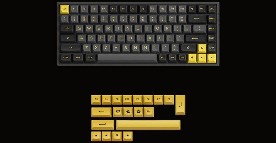 Buy Akko 3084B Plus Black/Gold RGB Hot-Swap TTC Demon Switch ...