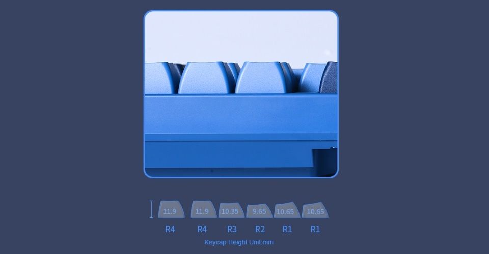 Buy Akko 3098B Ocean Star RGB Hot-Swap Cream Blue Pro [6925758626279 ...