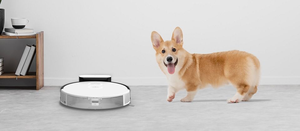 Buy TP-Link Tapo RV10 Lite Robot Vacuum [TAPO-RV10-LITE] | PC Case Gear ...