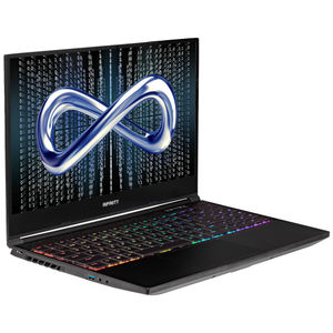 Buy Infinity W5 Core i7 RTX 3080 Ti 15.6in 165Hz Laptop [INFINITY-W5 ...