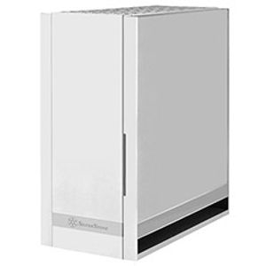 Buy SilverStone Fortress FT05 Mid Tower Case Silver [SST-FT05S] | PC ...