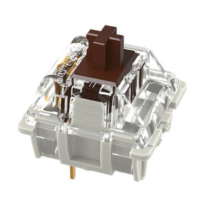 Buy Gateron G Pro 2.0 Brown Switch Set 110 Pack (Keychron) [G21] | PC ...