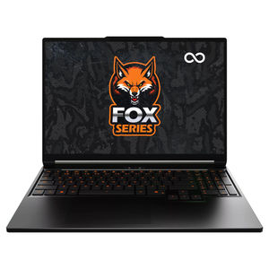 Buy Infinity Fox Series Ryzen 7 RTX 5060 16in 180Hz Gaming Laptop [FOX ...