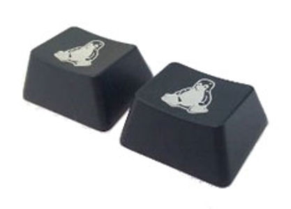 Buy Das Linux Key Caps, 2 Keys [LINUX2-KS] | PC Case Gear Australia