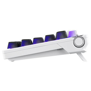 Buy ASUS ROG Azoth X Gaming Keyboard Snow Switch [ROG-AZOTH-X-SNOW ...