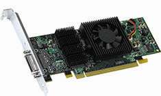 Buy Matrox QID Low Profile PCIe [11MQDPE-128LP] | PC Case Gear Australia